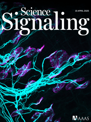 Molecular changes that occur in motor neurons around the time of birth | Edinburgh Neuroscience ...